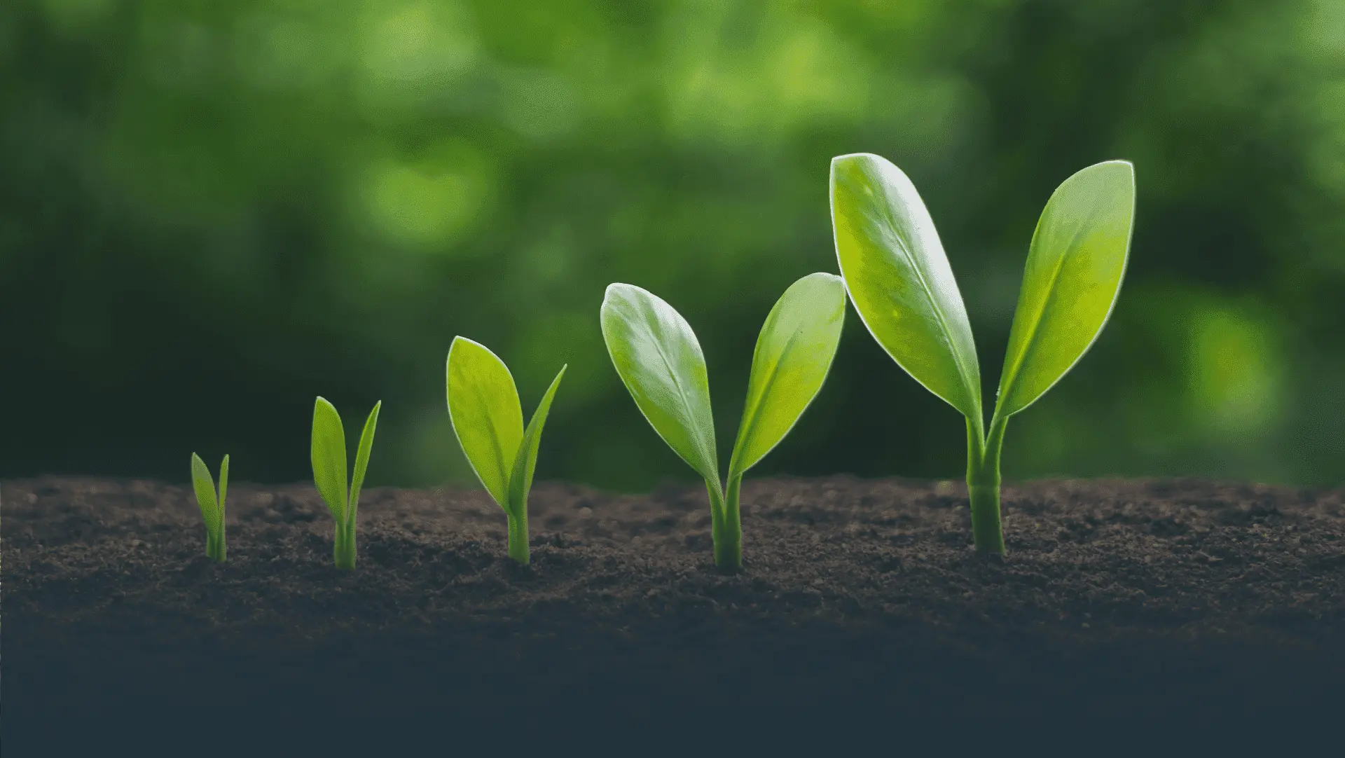 Ruia Family: The Ruia's are the founding family of the Essar Group ...